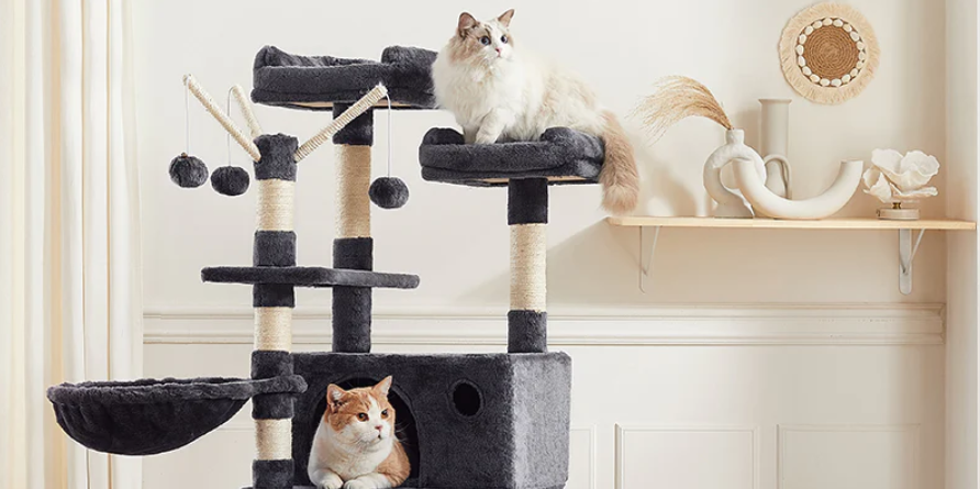 Cat Condo for Large Cats — Cats Can Also Have Their Dream Love Room ...
