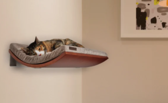 Elevated Bliss: The Joy of a Well-Designed Cat Wall Climbing System ...