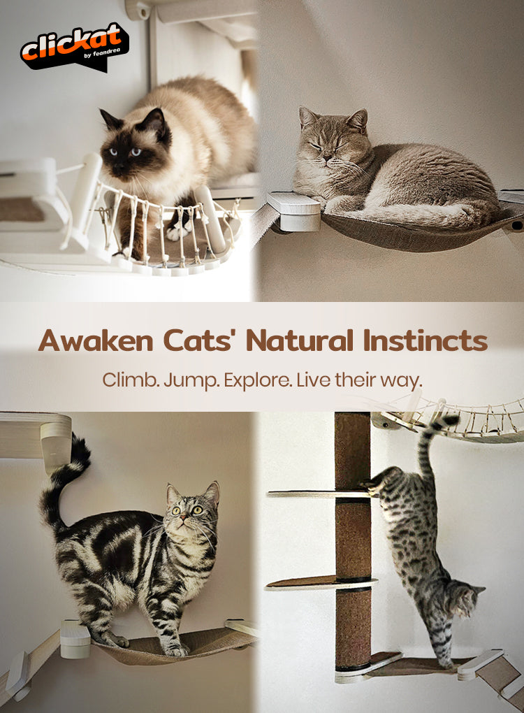 Wall-Mounted Cat Furniture | Clickat by Feandrea