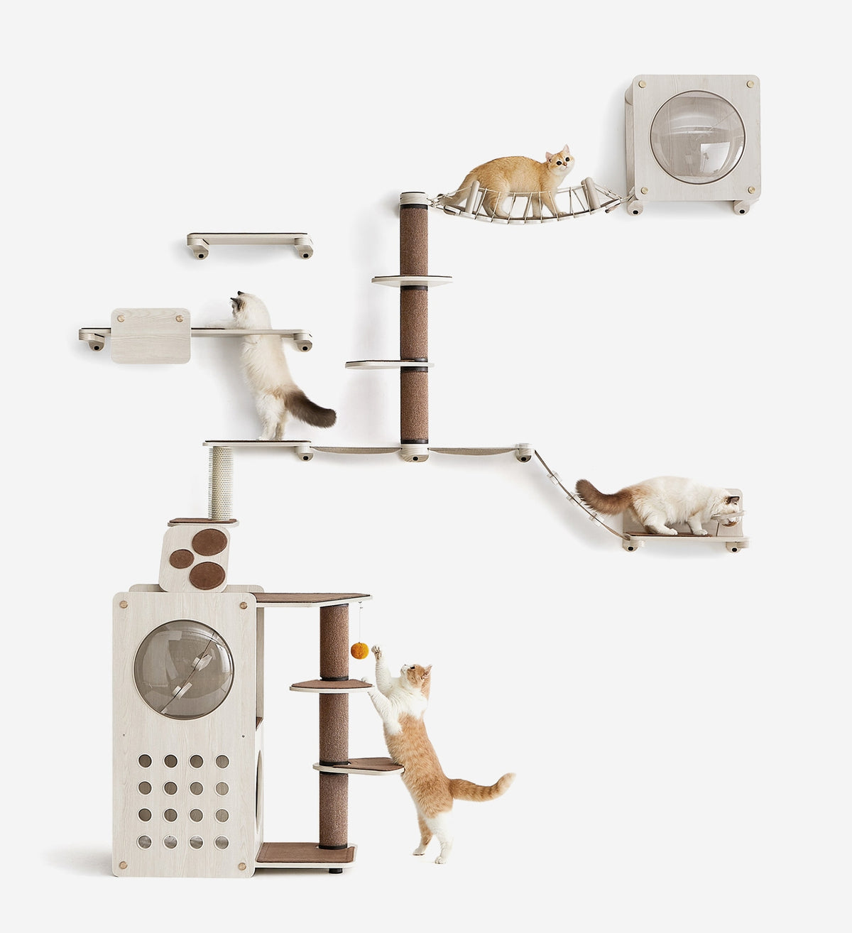 Wall Mounted Cat Furniture Clickat By Feandrea wall-mounted-cat-furniture-clickat-by-feandrea