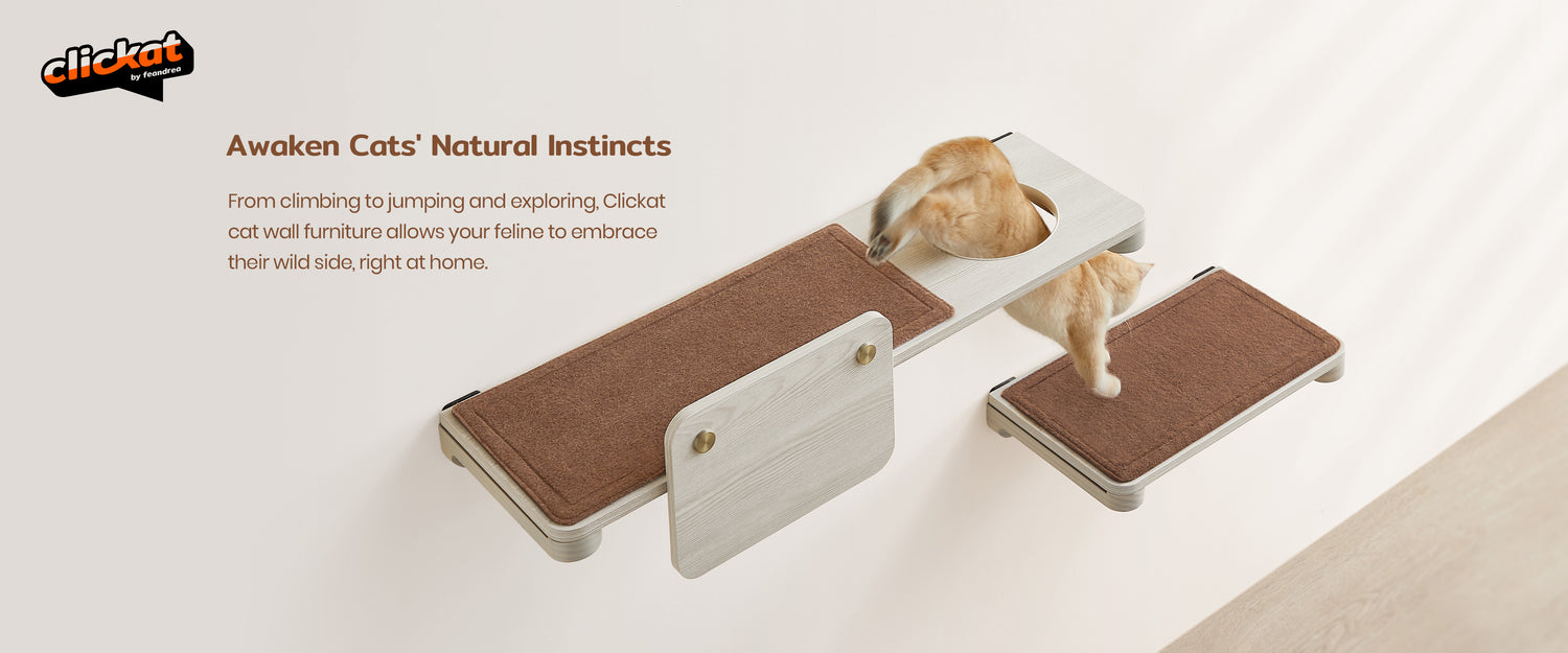 Wall-Mounted Cat Furniture | Clickat by Feandrea