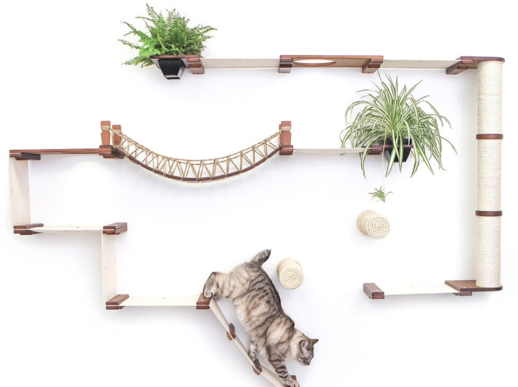 Personalize your cat’s playtime with DIY cat wall furniture