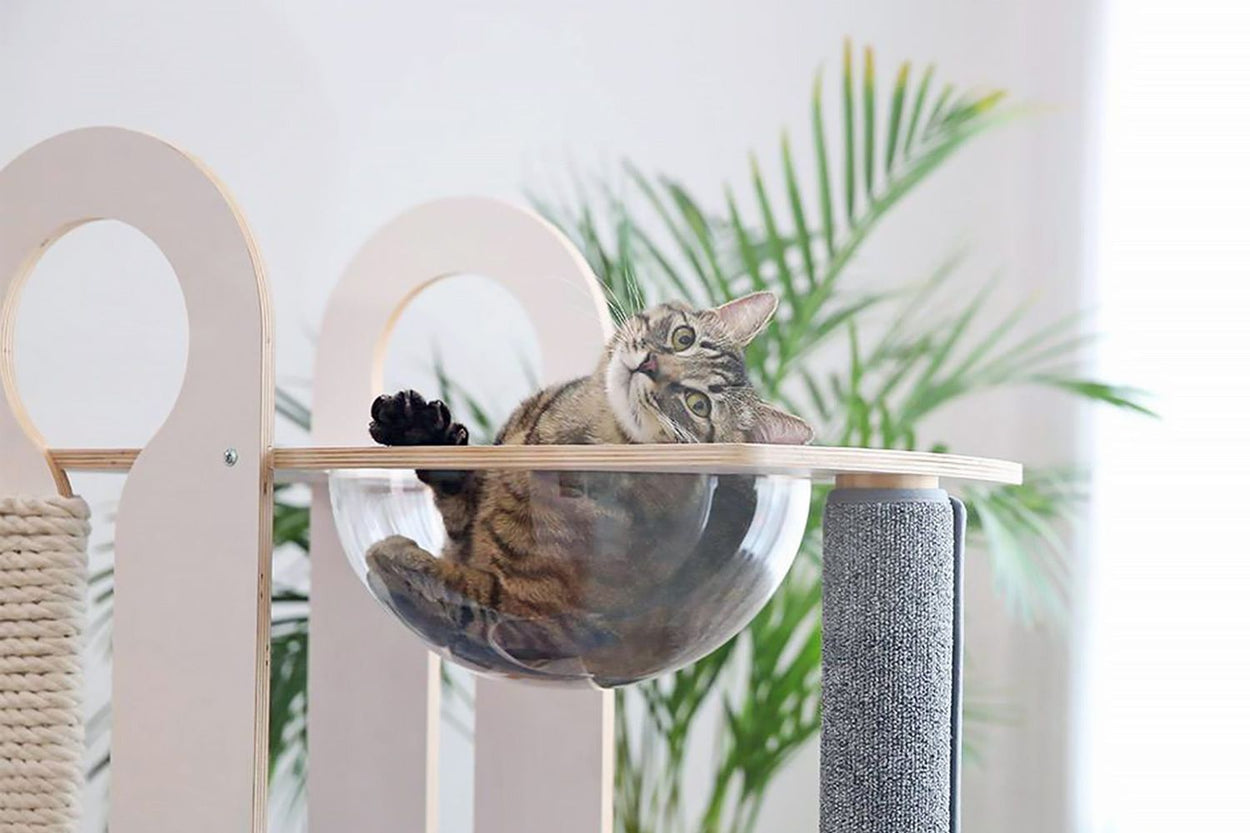 Create a Clean Pet Haven: How to Clean a Cat Tree | SONGMICS HOME